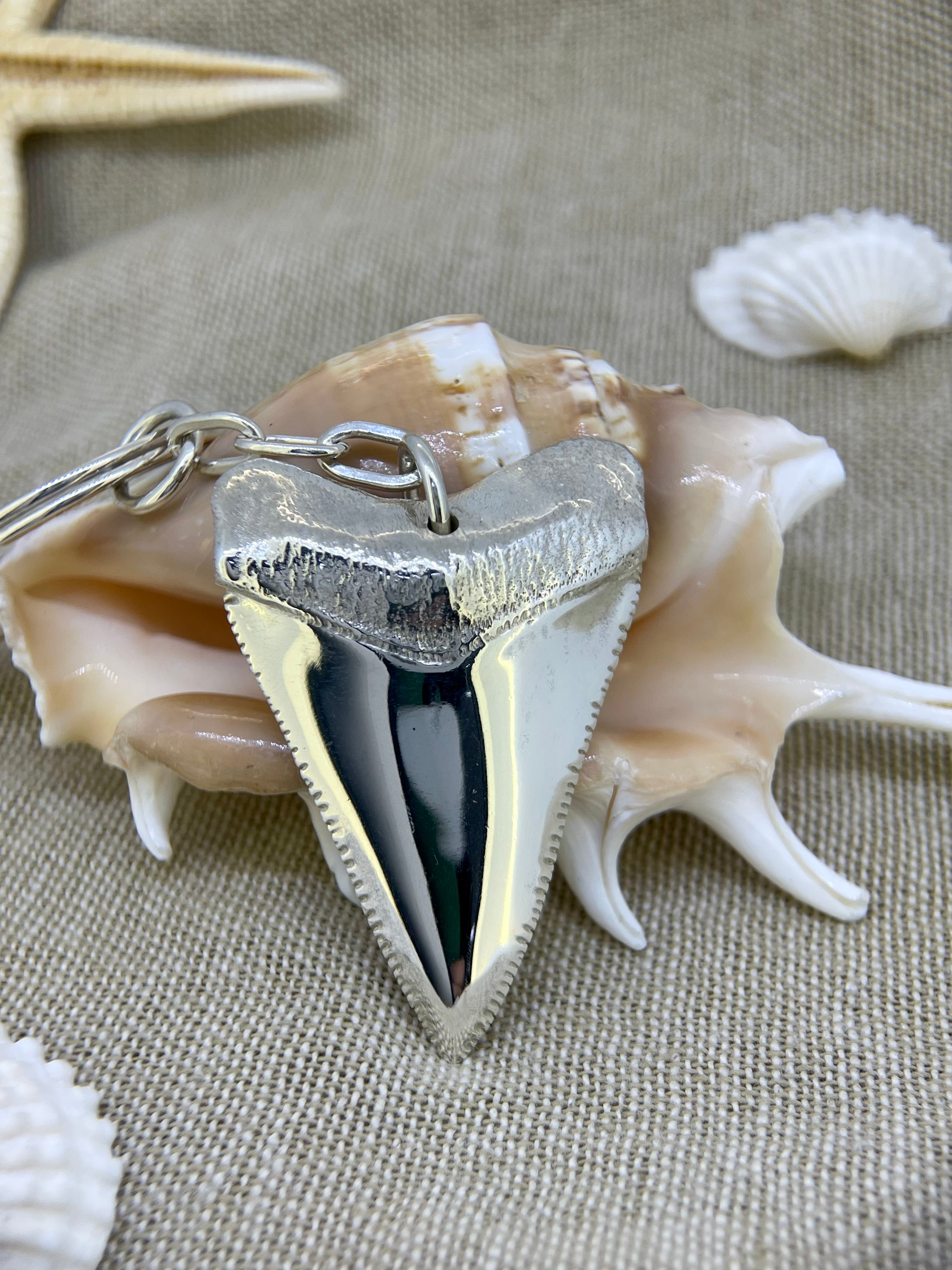 Extra Large Shark Tooth Key Ring – Pedemonte Jewellers